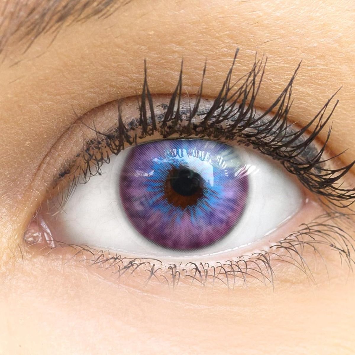 Madrid Violet FL8 Glamlens - Colours Shop